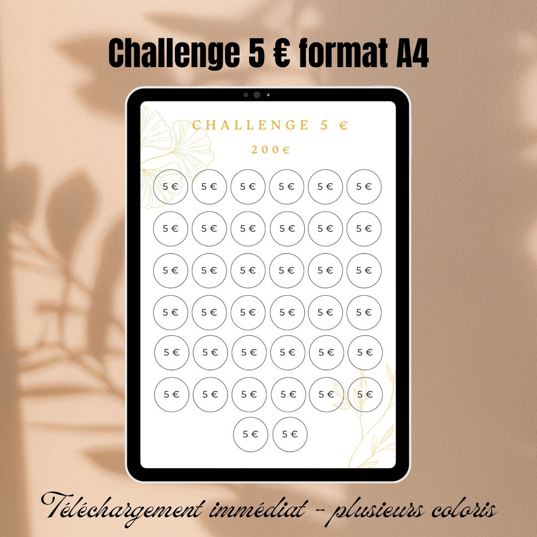 Challenge 5 Euro Notes to Print - Etsy