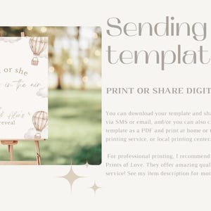 Hot Air Balloon Gender Reveal Welcome Sign: Neutral Cloud Theme ...