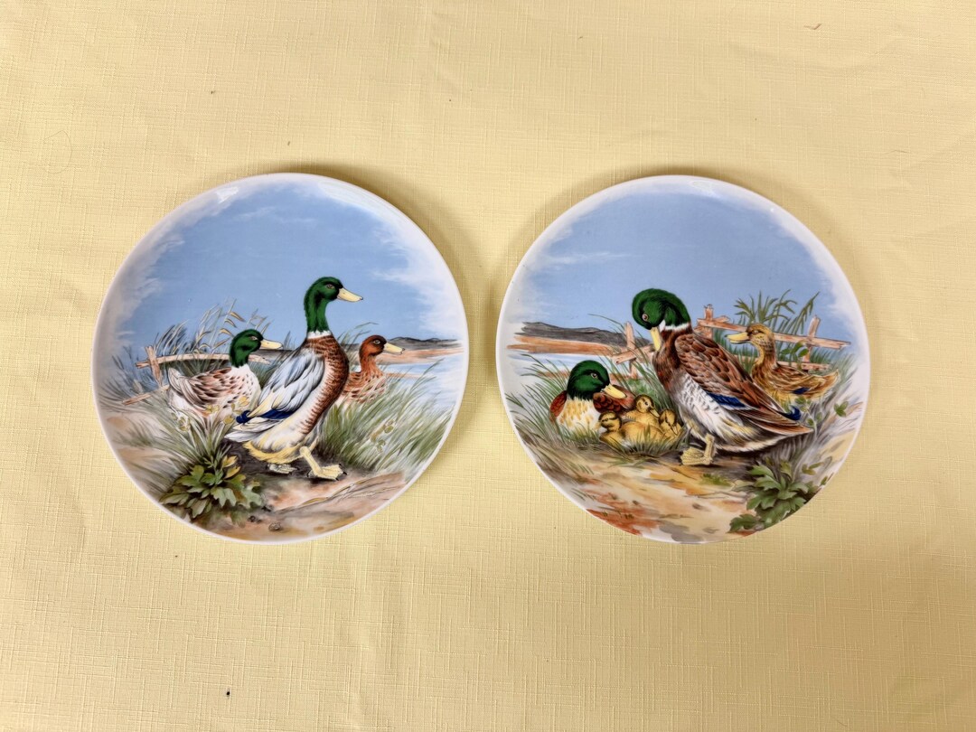 Duck Plates Set of Two Mallards Vintage Thetradingstation2 - Etsy