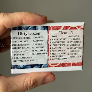 2024 Guide for Organic Produce Magnet-ewg Dirty Dozen & Clean 15 Lists ...