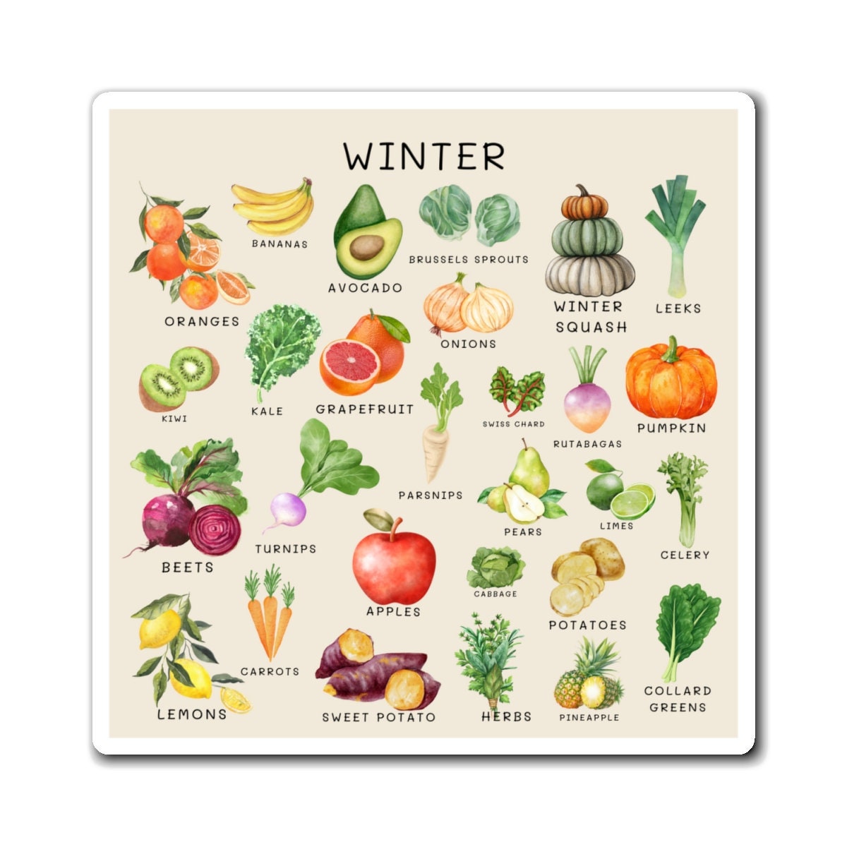 Seasonal Produce Guide Magnet Set of 4 Visual Kitchen Companion in 3 ...