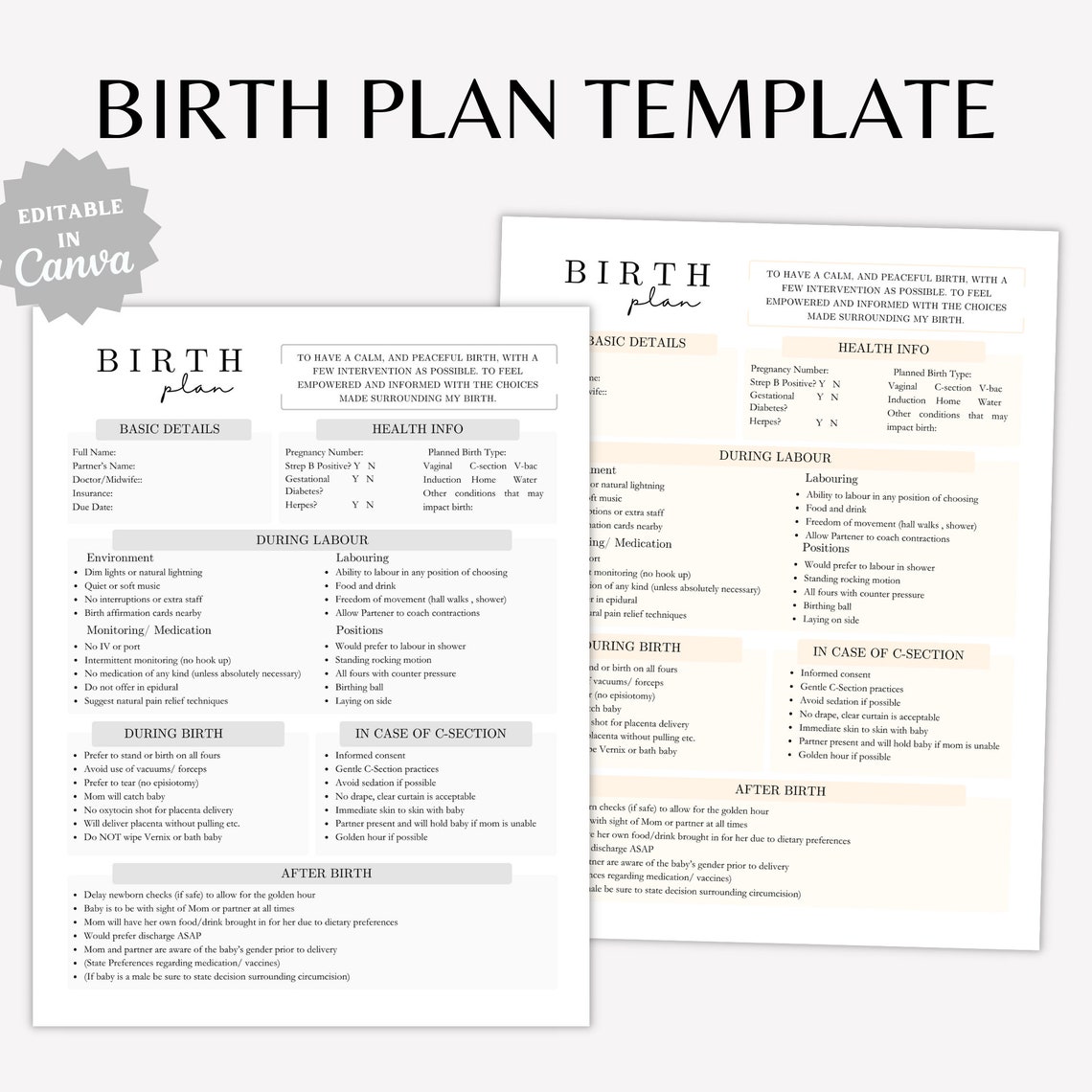 Editable Birth Plan Template Printable Birth Plan Birth Plan Birth ...