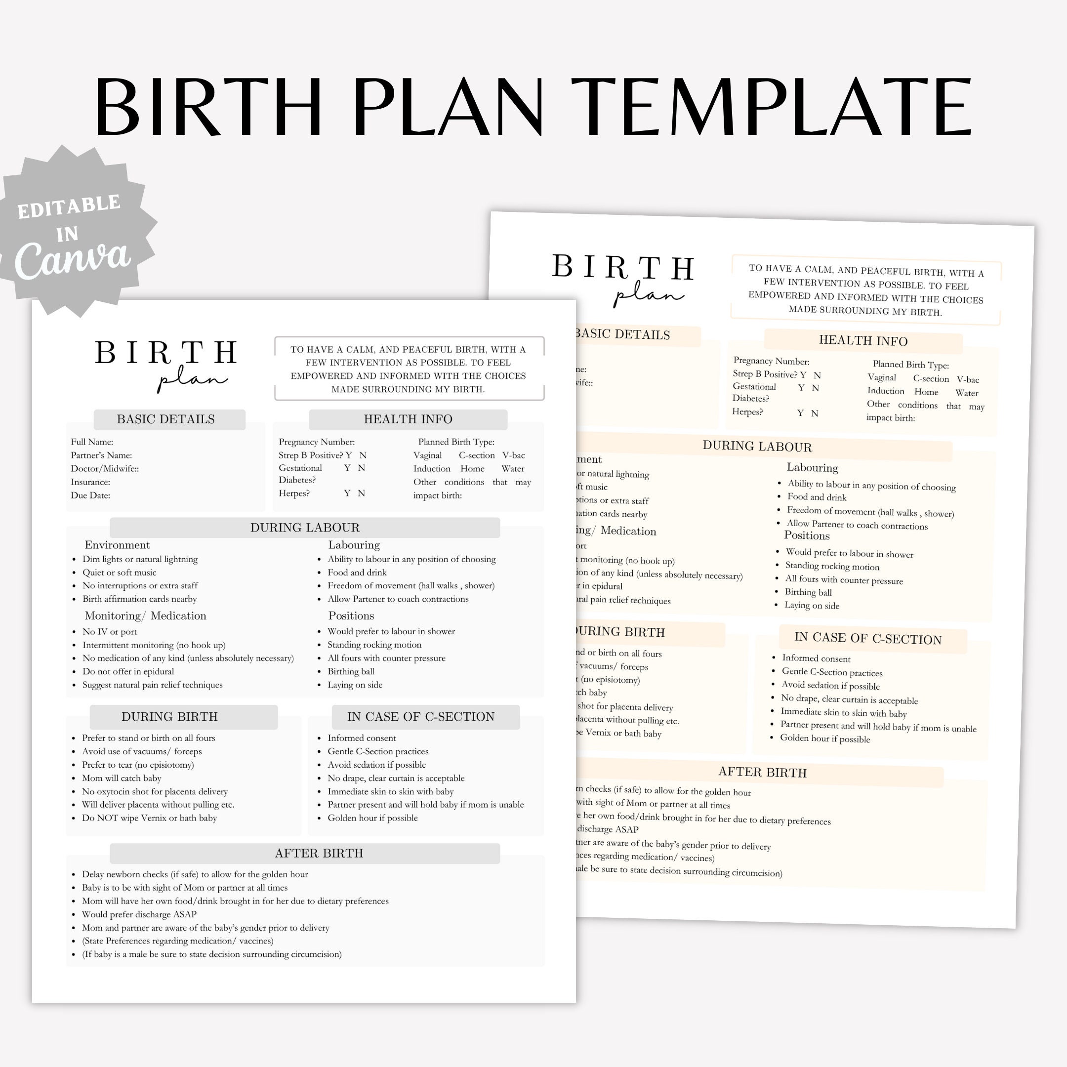 Editable Birth Plan Template | Printable Birth Plan | Birth Plan ...