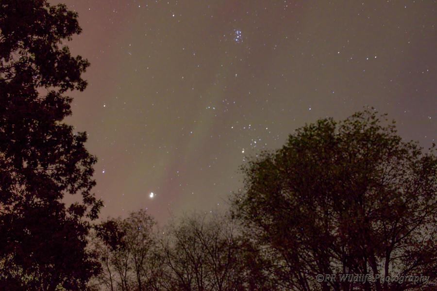 Aurora Borealis L Aurora Photo Note Cards L Northern Lights Note Cards ...