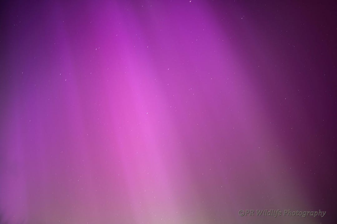 Northern Lights Note Cards L Aurora Borealis Blank Note Cards L Night ...