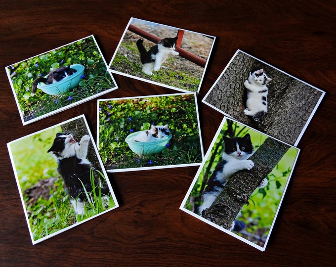 Kitten Cat Note Cards Stationery Set of 10 Cards - Etsy