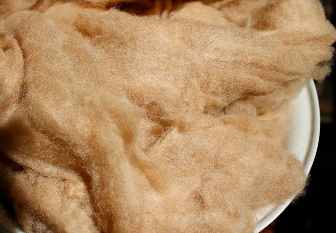 Baby Camel Dehaired Noil L Undyed Natural Fiber L Camel Fiber L Camel ...