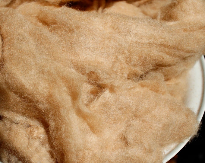 Baby Camel Dehaired Noil L Undyed Natural Fiber L Camel Fiber L Camel ...
