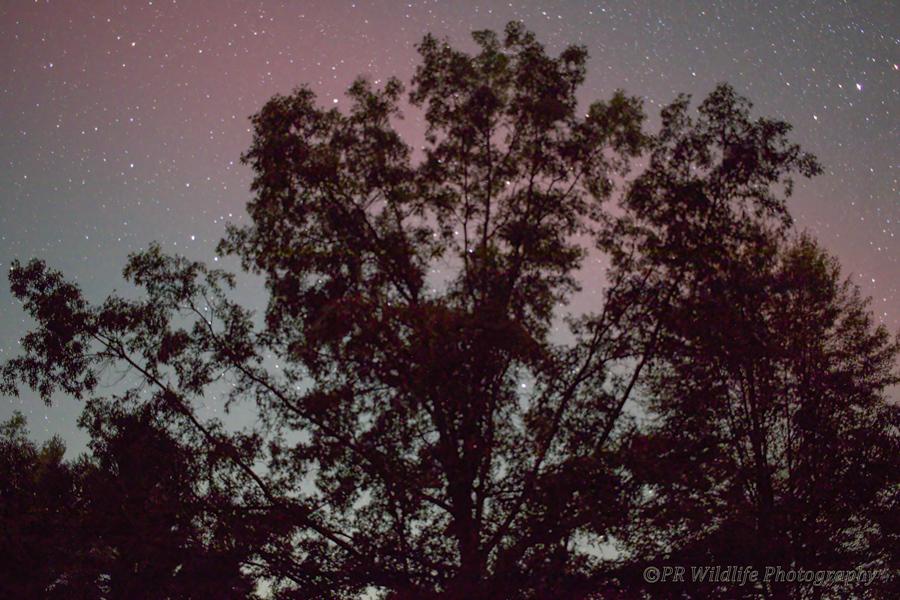 Aurora Borealis L Aurora Photo Note Cards L Northern Lights Note Cards ...