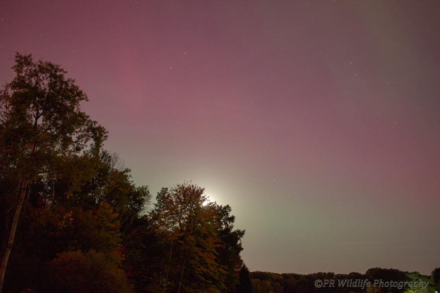 Aurora Borealis L Aurora Photo Note Cards L Northern Lights Note Cards ...