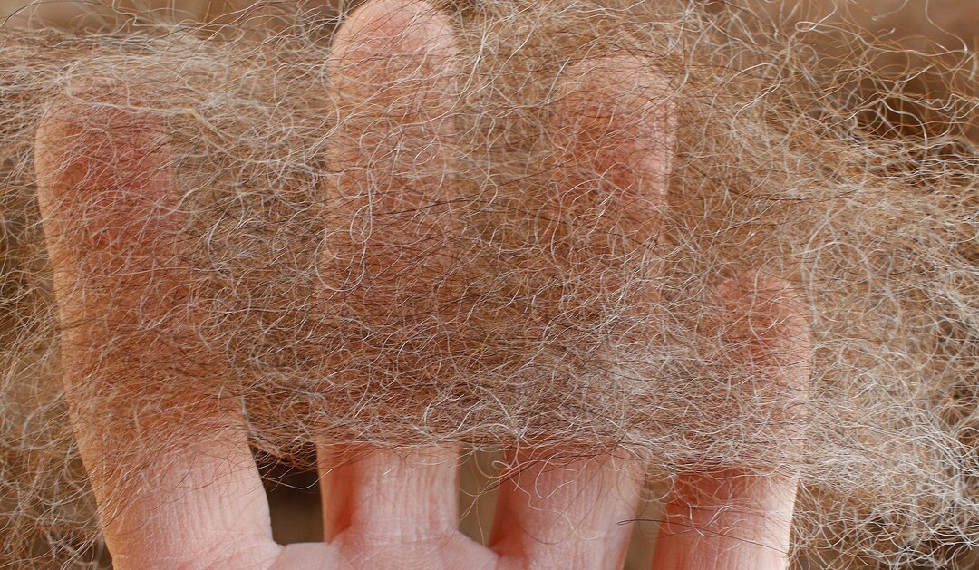 Llama Wool Dehaired L Llama Cloud L Llama Wool L Llama Spinning Wool L ...