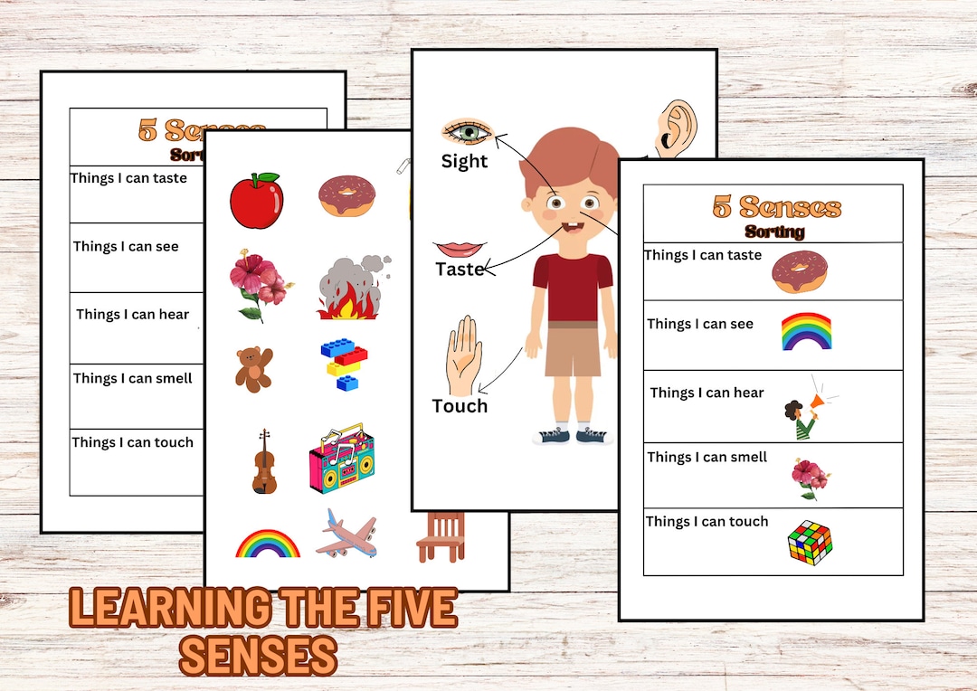 Five Senses Printable Activity 5 Senses Matching Activity - Etsy