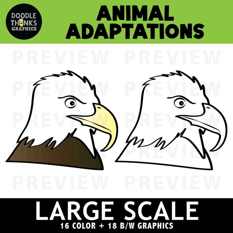 Animal Adaptations Clipart | Educational Science Graphics for ...