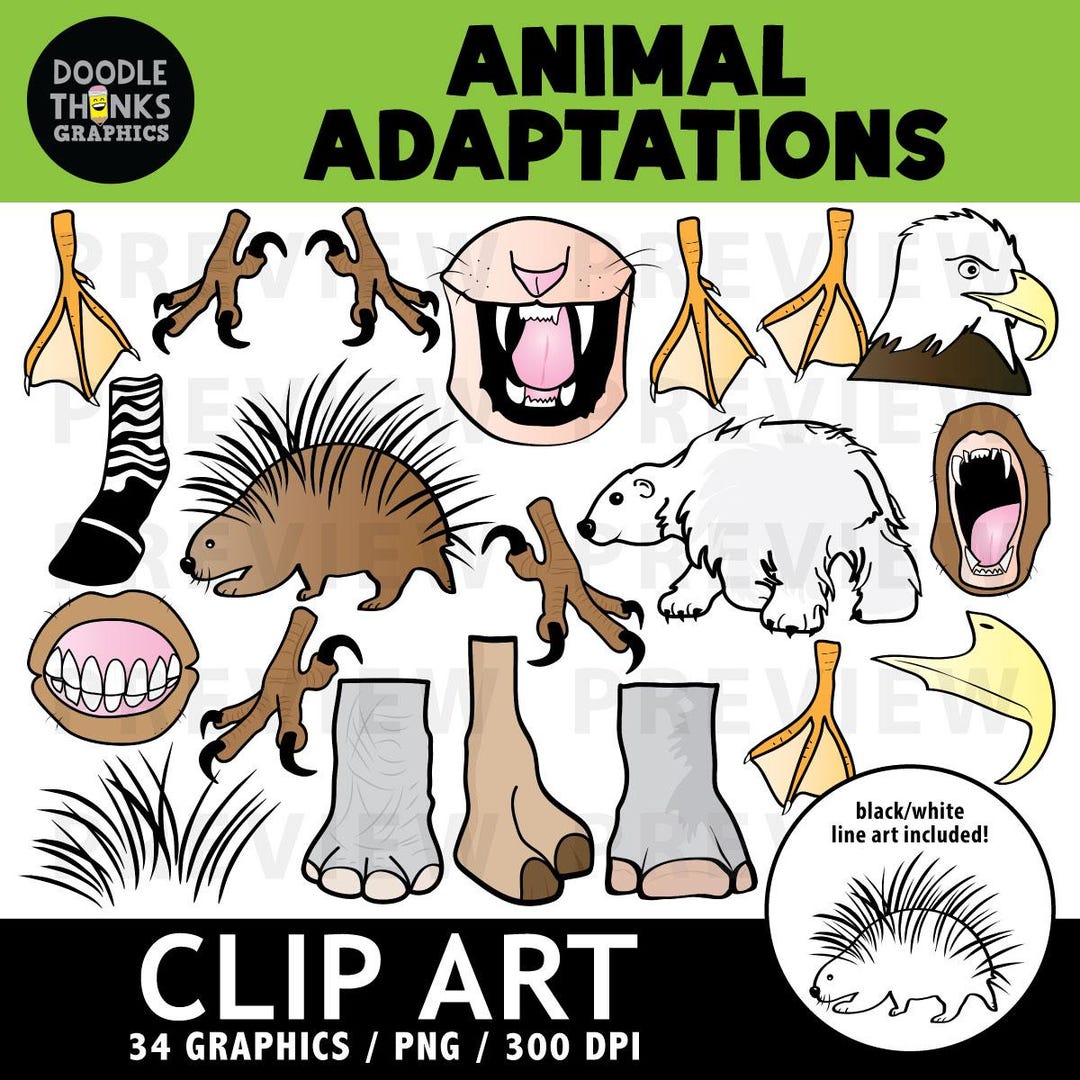 Animal Adaptations Clipart | Educational Science Graphics for ...