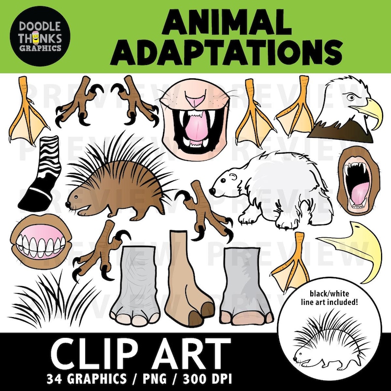 Animal Adaptations Clipart | Educational Science Graphics for ...