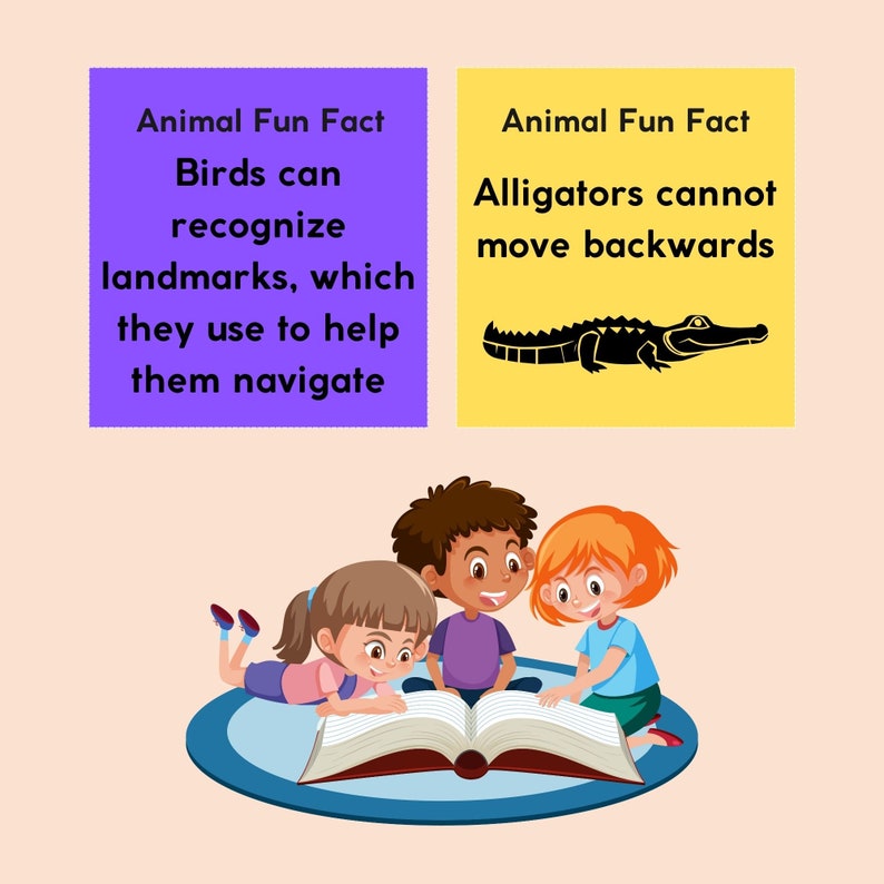 Fun Animal Facts Flashcards Set for Kids ages 5 & Up One - Etsy