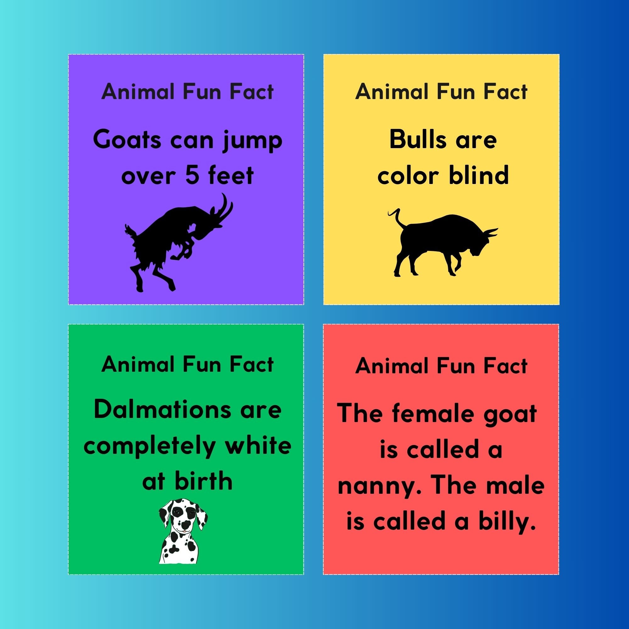 Fun Animal Facts Flashcards Set for Kids ages 5 & Up One - Etsy
