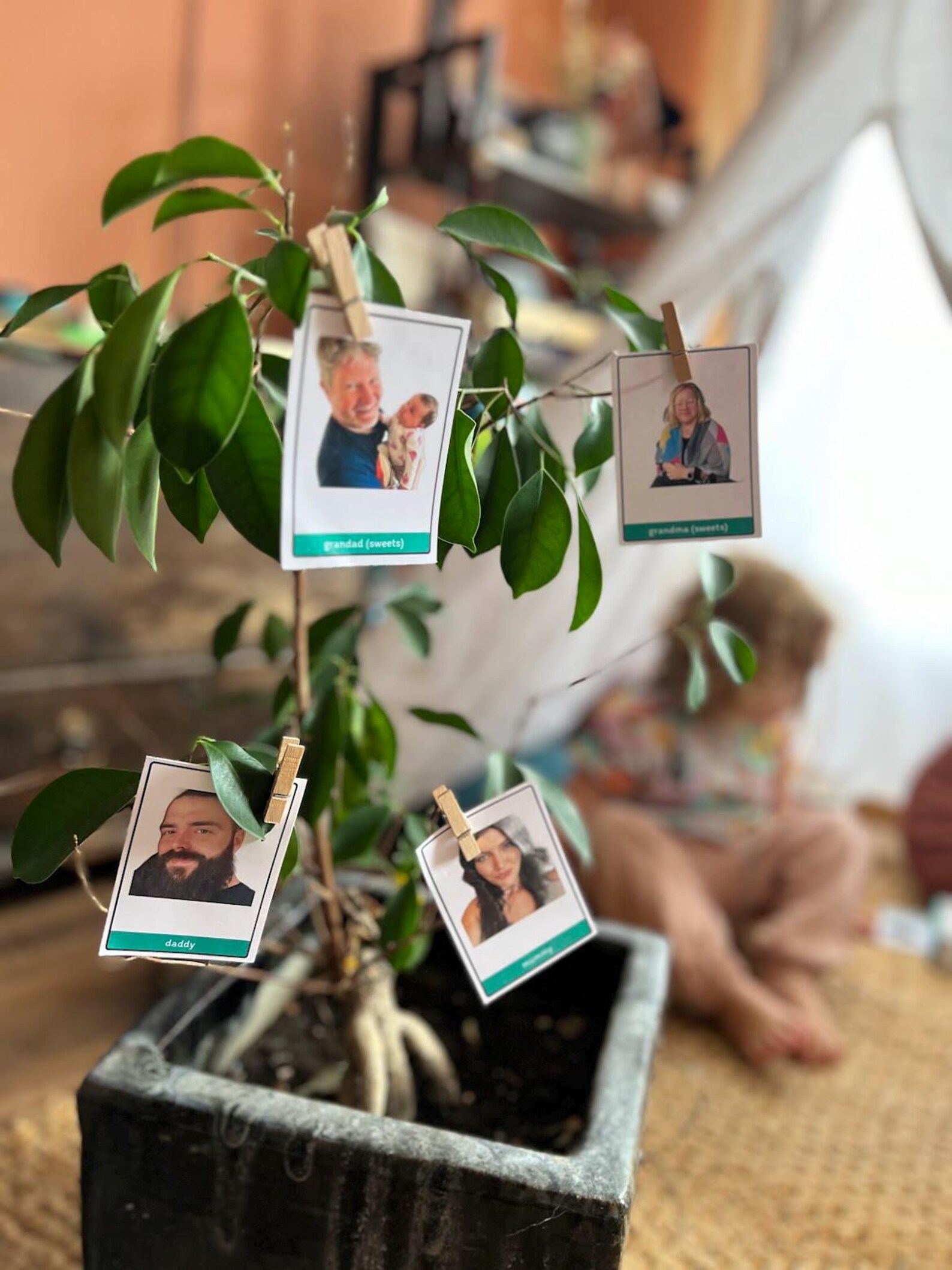 Personalised Flash Cards - Sen, Children, Student, Nomenclature ...