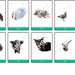 Personalised Flash Cards - Sen, Children, Student, Nomenclature ...