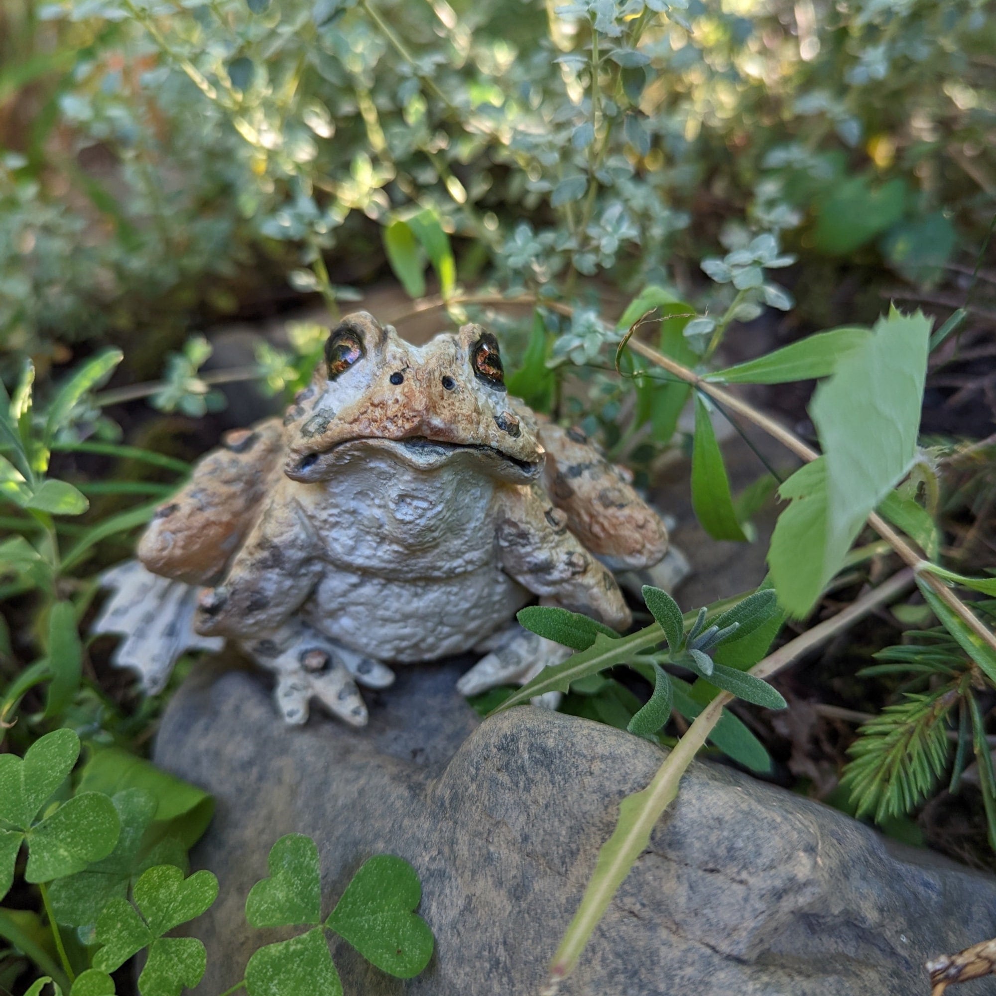 Toad figurine, hand sculpted common toad, made in Nova Scotia - Etsy.de