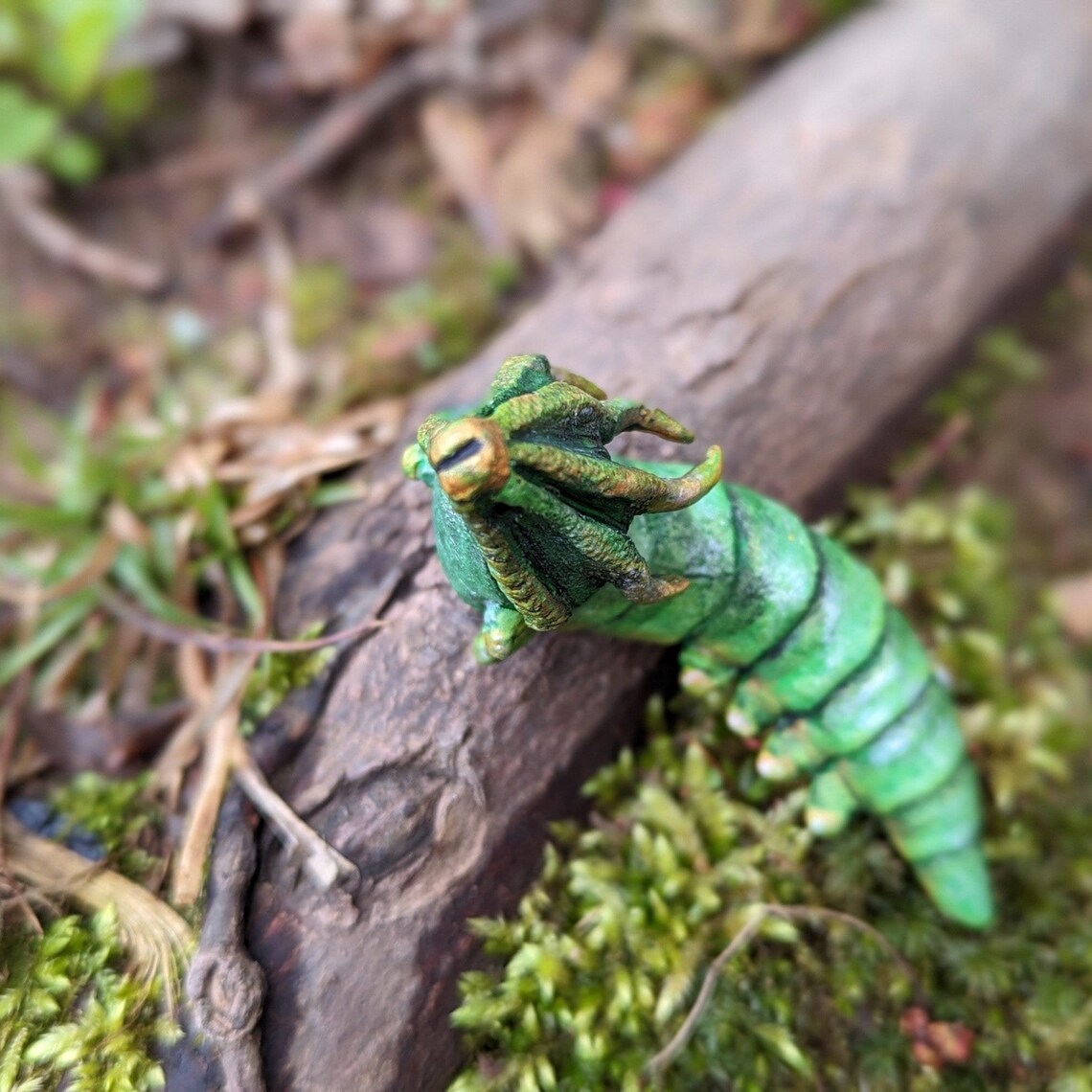 Dragon Headed Caterpillar, Green Dragon Like Creature, Nawab Butterfly ...