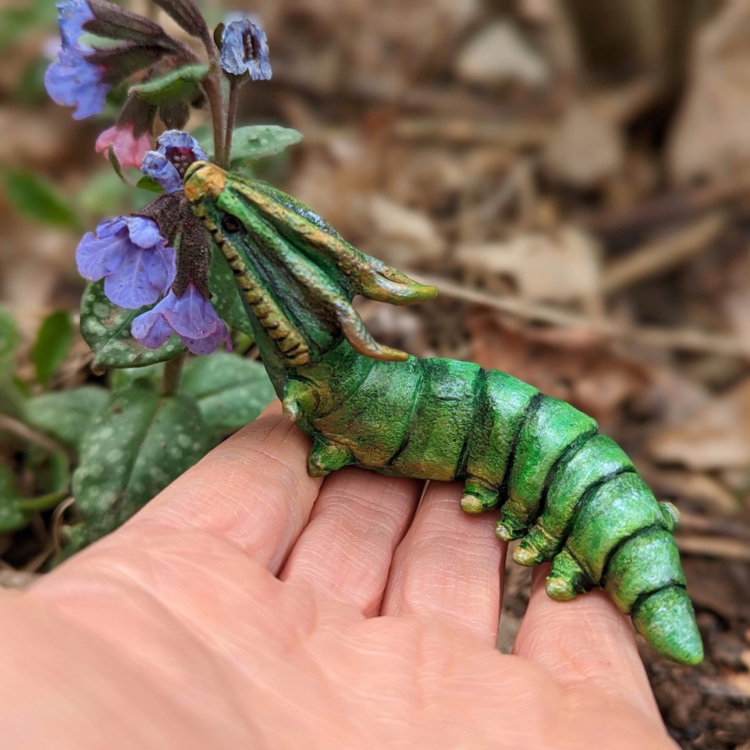 Dragon Headed Caterpillar, Green Dragon Like Creature, Nawab Butterfly, Made in Nova Scotia ...