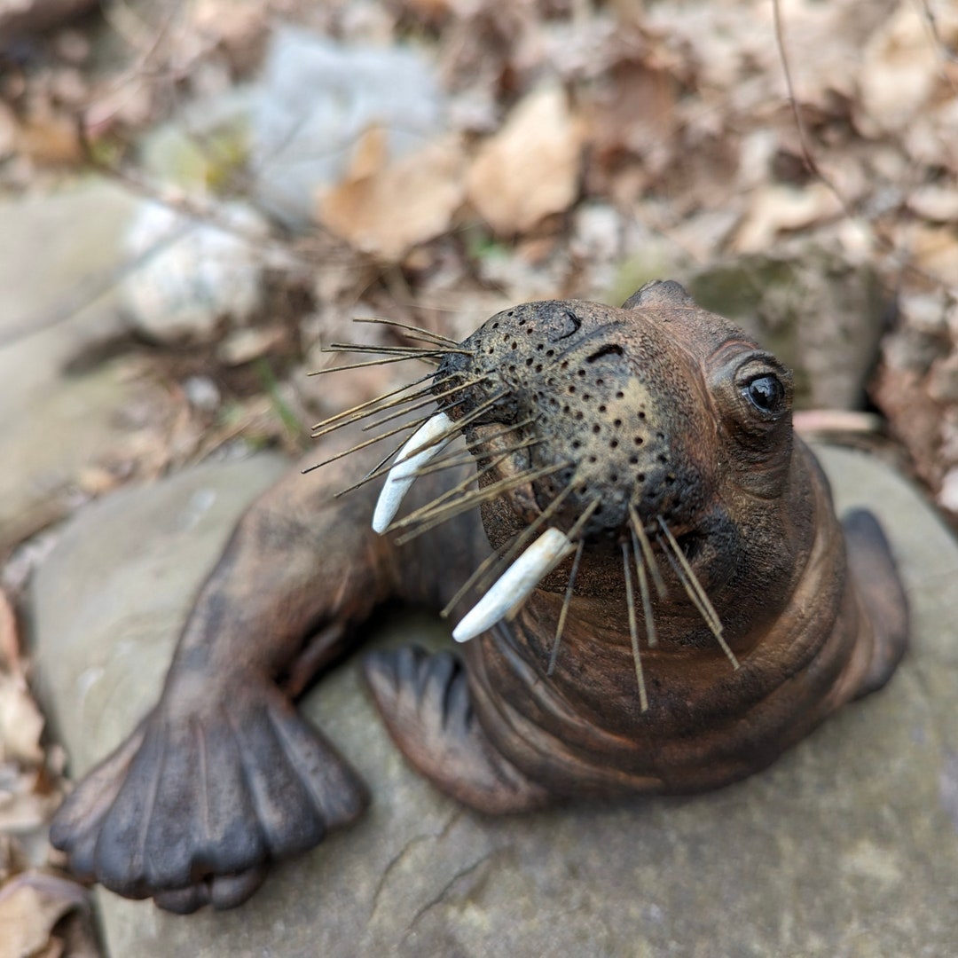 Walrus Sculpture, Hand Sculpted Walrus Figurine, Made in Nova Scotia - Etsy