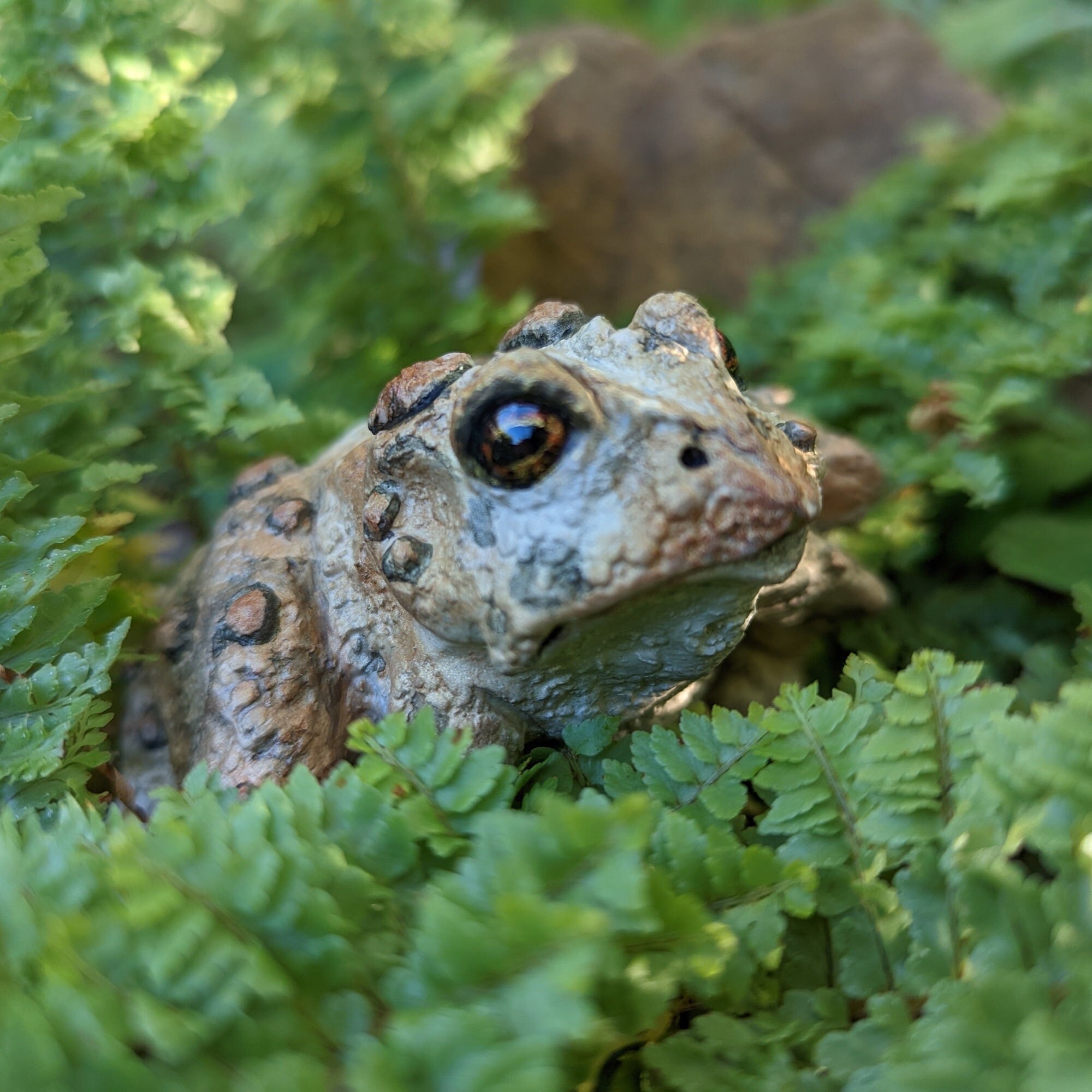 Toad figurine, hand sculpted common toad, made in Nova Scotia - Etsy.de