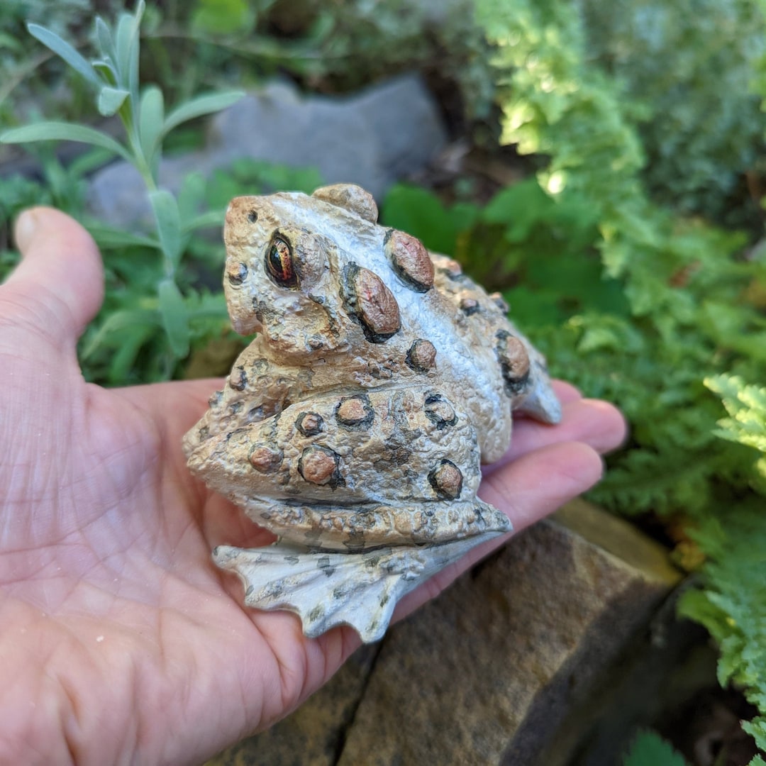 Toad figurine, hand sculpted common toad, made in Nova Scotia - Etsy.de