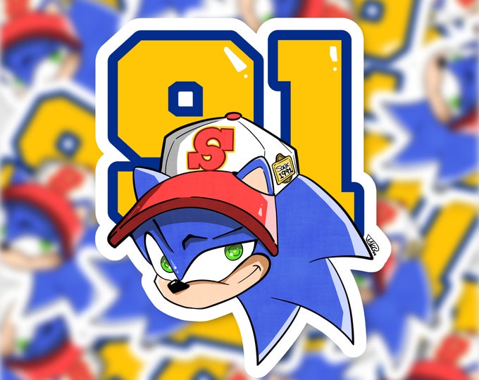 Sonic & Amy Rose Sonic the Hedgehog Sticker, Laptop Sticker, Water ...