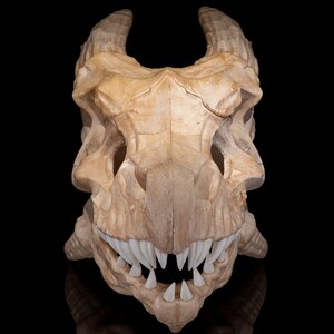 Epic Red Dragon Skull - Etsy