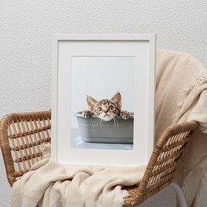 Grumpy Cat in A Tiny Tub Printable Wall Art Grumpy Cat Poster Grumpy ...