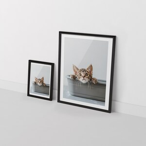 Grumpy Cat in A Tiny Tub Printable Wall Art Grumpy Cat Poster Grumpy ...
