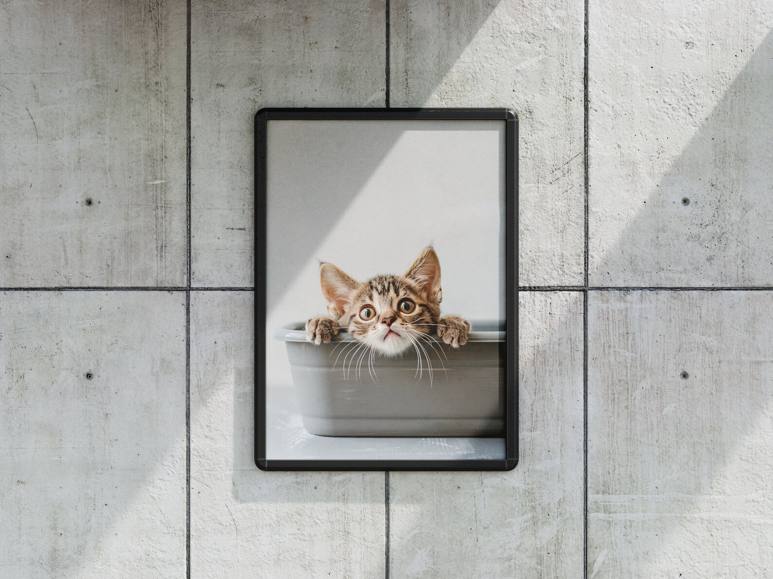 Grumpy Cat in A Tiny Tub Printable Wall Art Grumpy Cat Poster Grumpy ...