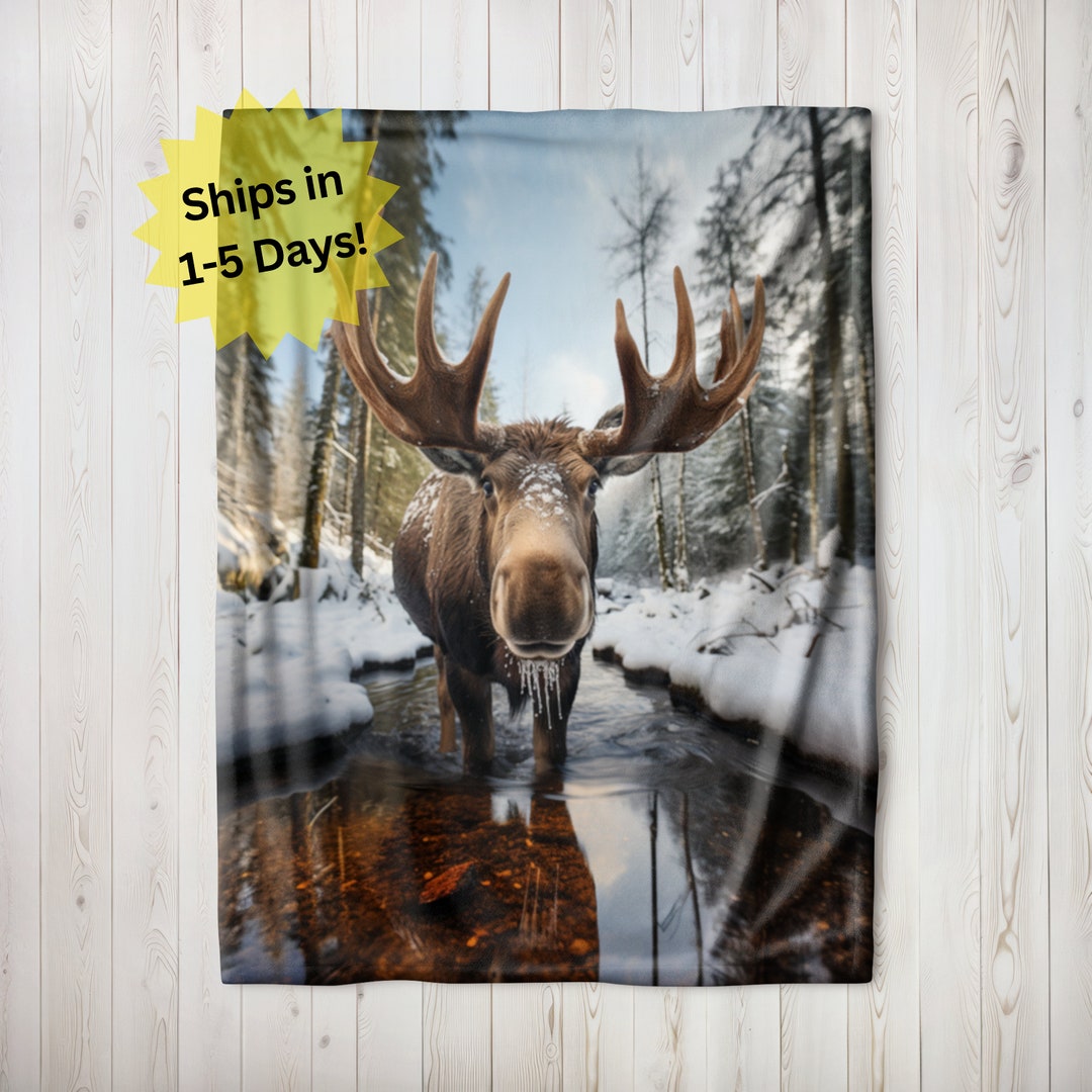 Moose Blanket, Velveteen Plush Blanket, Sherpa Fleece Blanket, Wildlife ...