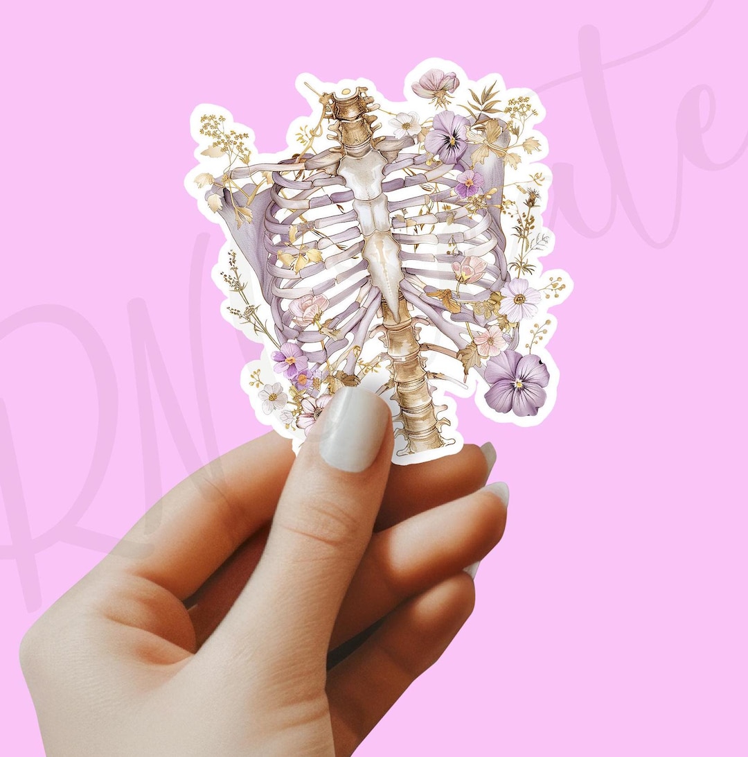 Ribs Sticker, Colorful Ribs Sticker, Anatomy Sticker, Laptop Sticker ...