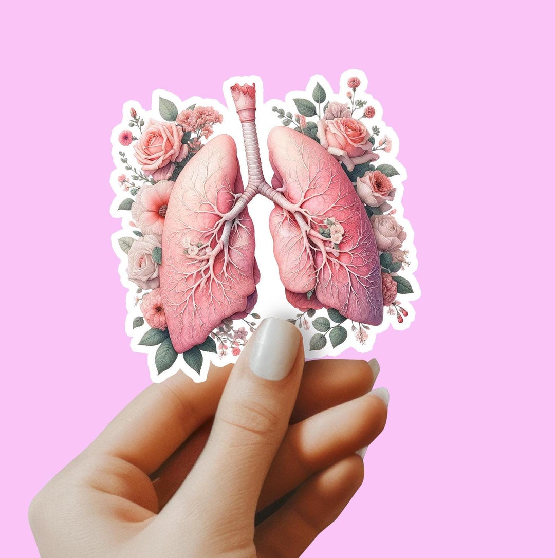 Lungs Sticker, Anatomy Sticker, Laptop Sticker, Tumbler Sticker, Water ...