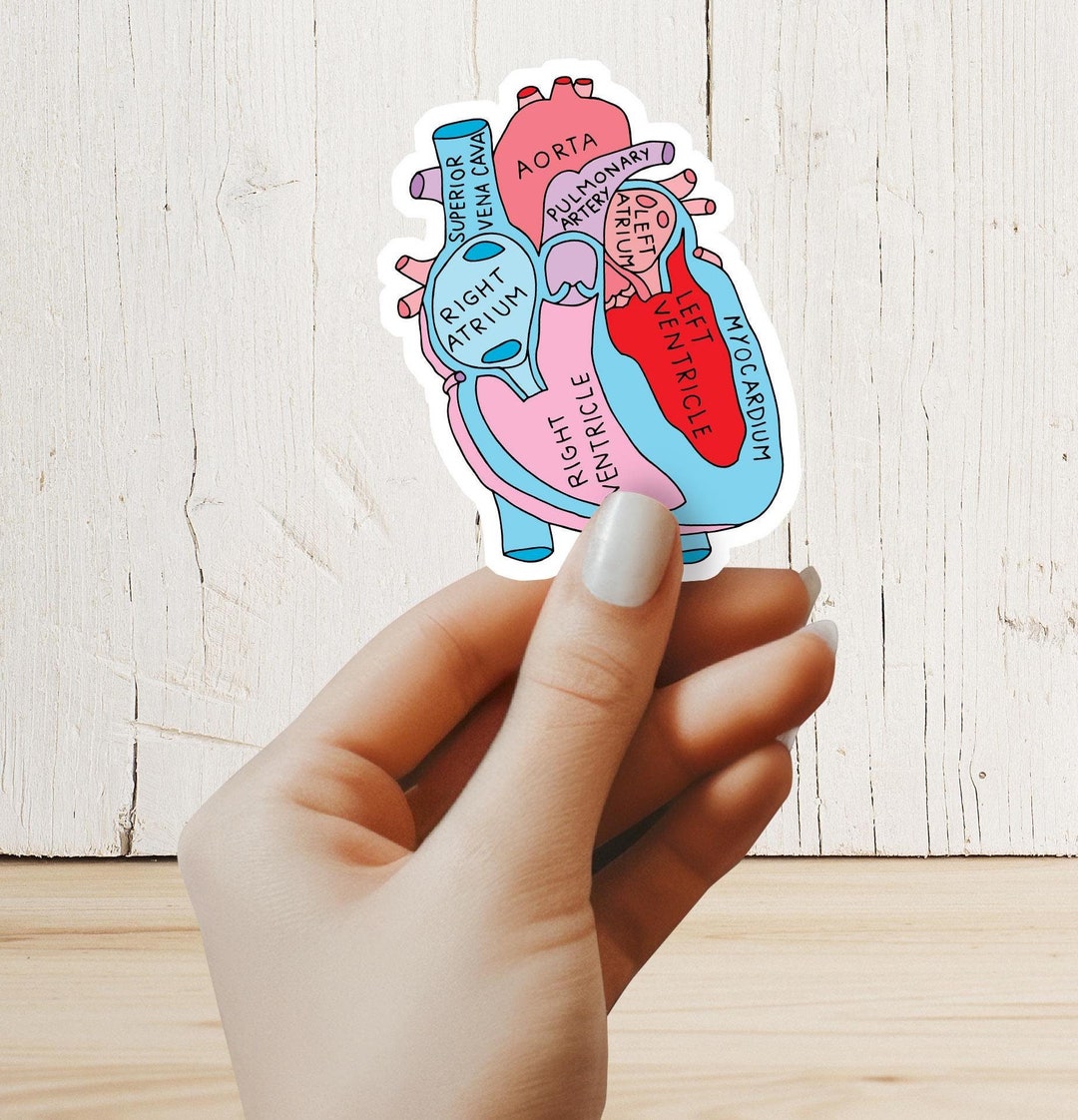 Heart Sticker, Cardiac Sticker, Laptop Sticker, Tumbler Sticker, Water ...