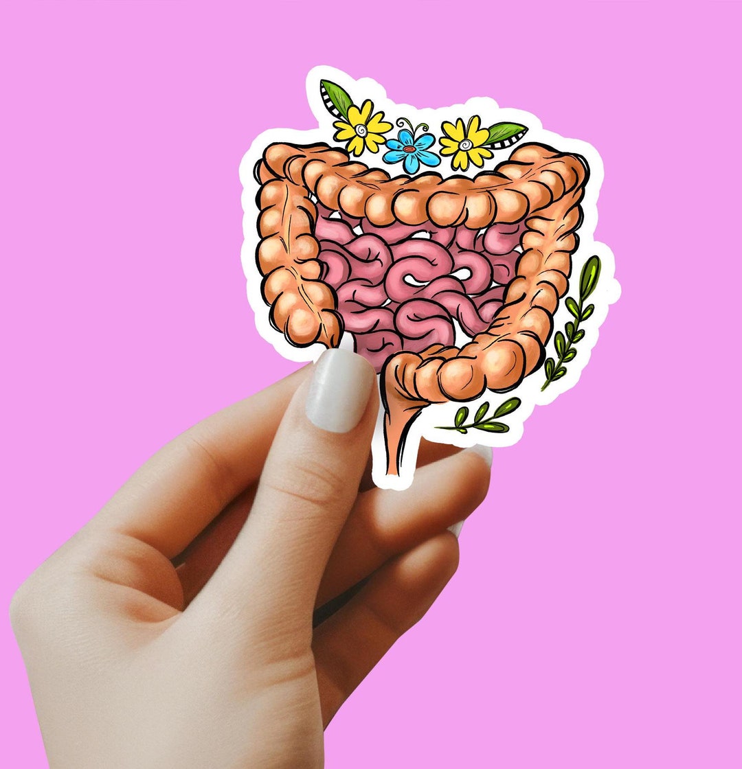 Gastrointestinal Tract Sticker, Digestive System Sticker, GI, Laptop ...