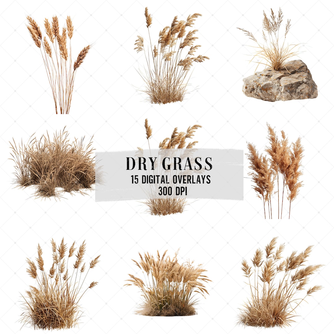 15 Dry Grass Overlays, Photoshop Transparent Background, Autumn Texture ...