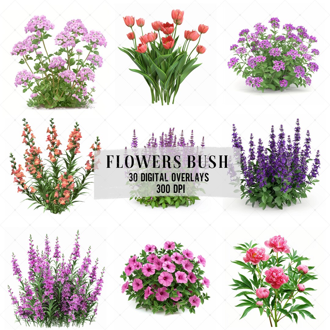 Garden Flowers Photo Overlays: Vibrant Floral PNG Effects (digital ...