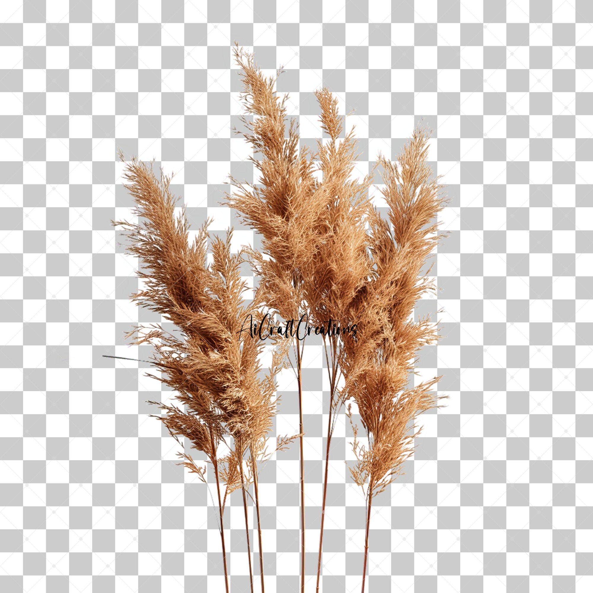 15 Dry Grass Overlays, Photoshop Transparent Background, Autumn Texture ...