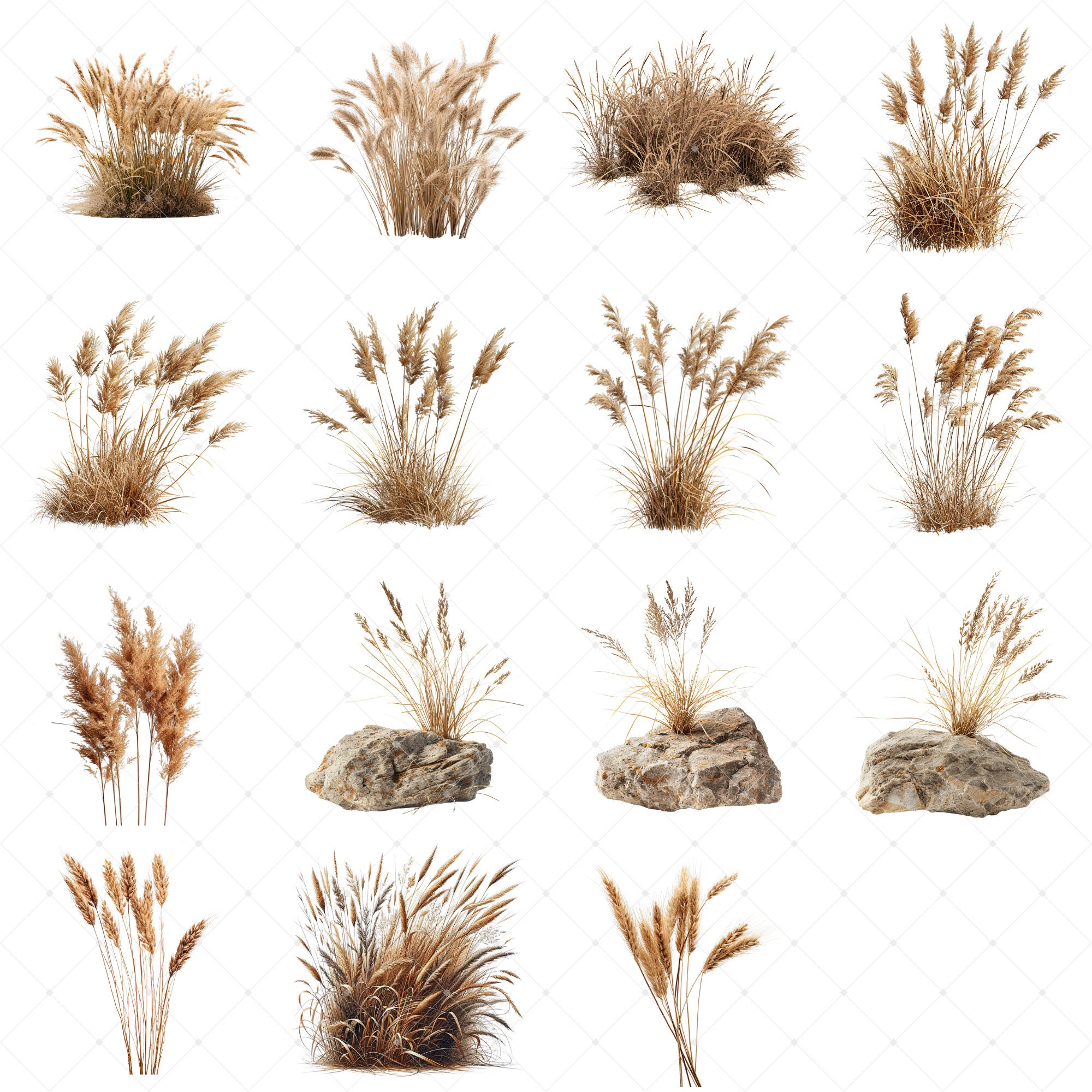 15 Dry Grass Overlays, Photoshop Transparent Background, Autumn Texture ...
