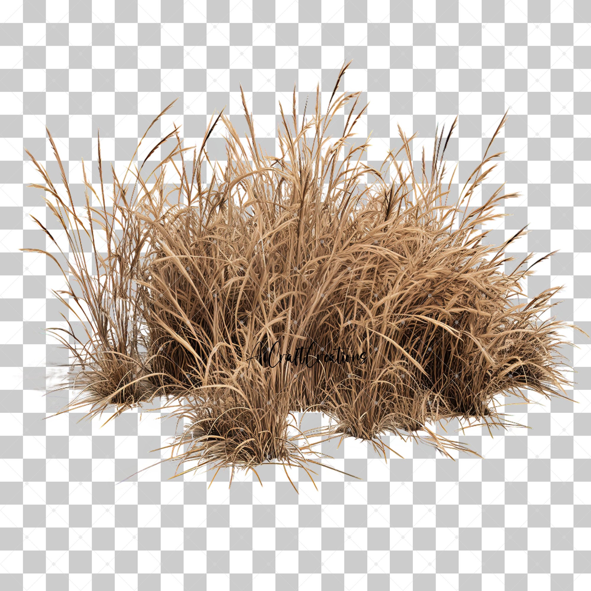 15 Dry Grass Overlays, Photoshop Transparent Background, Autumn Texture ...