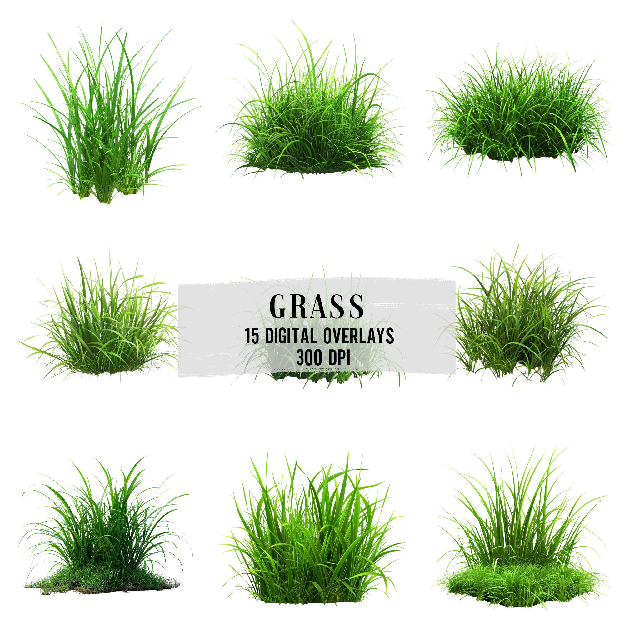 Green Grass Overlays With Transparent Background - Realistic Grass ...