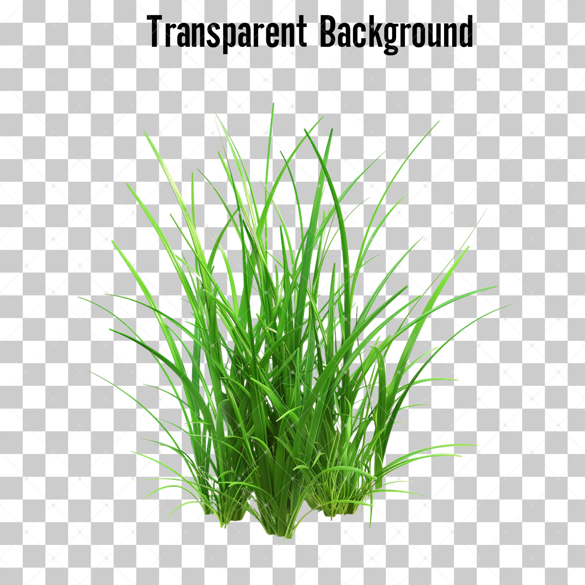 Green Grass Overlays With Transparent Background - Realistic Grass ...