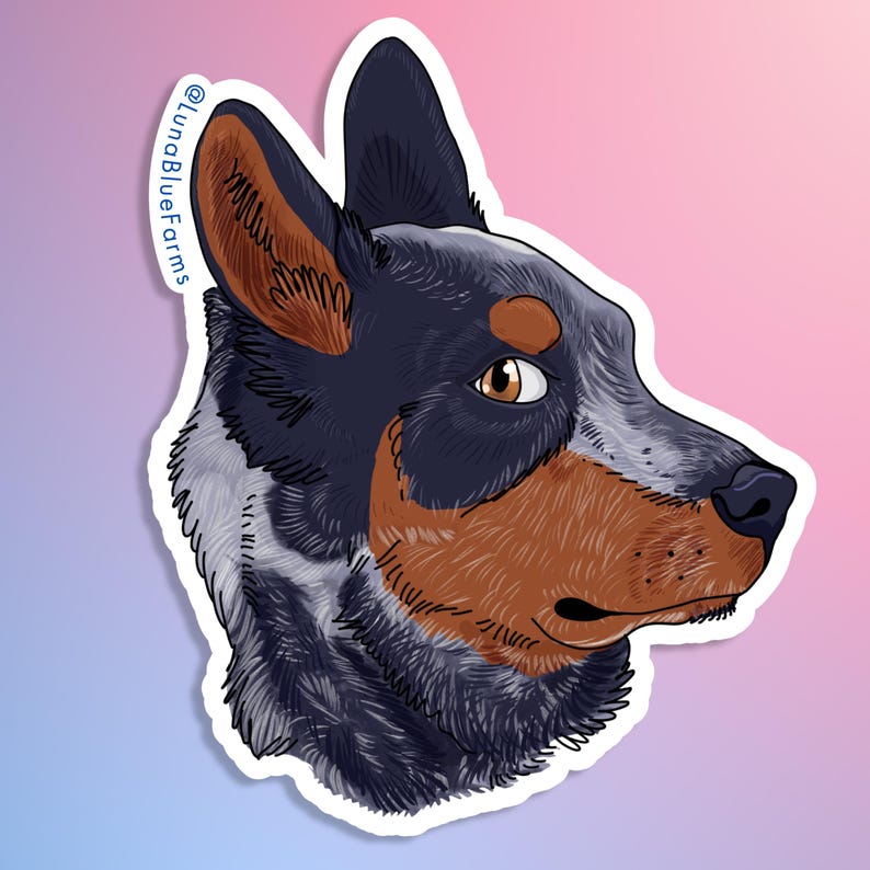 Side Eye Sticker | Heeler Sticker - Etsy