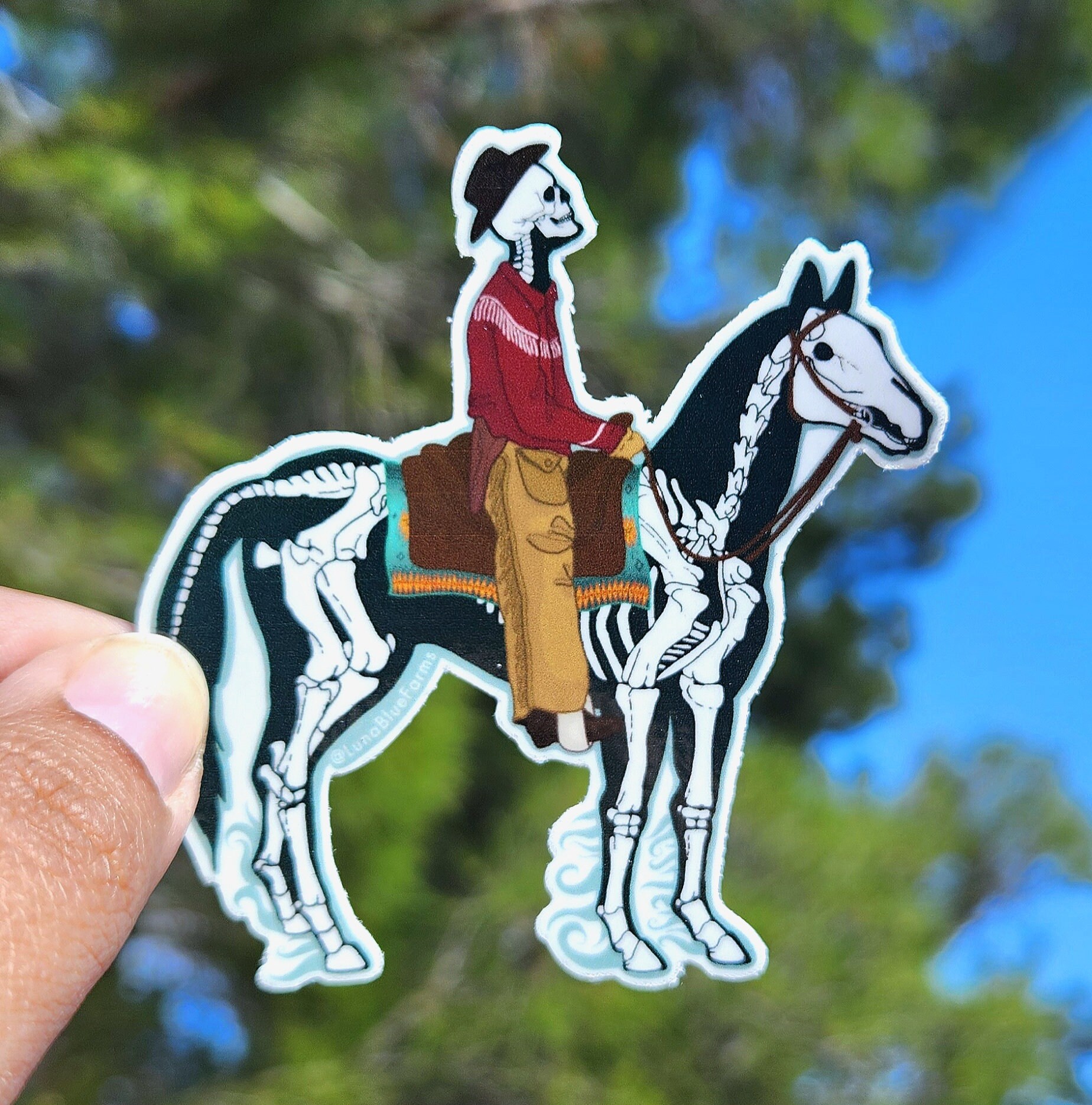 Ghost Rider Sticker Texas Cowboy Sticker - Etsy