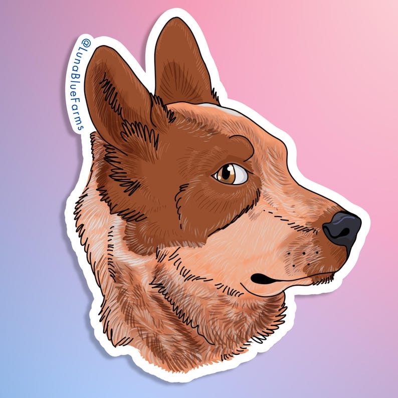 Side Eye Sticker | Heeler Sticker - Etsy