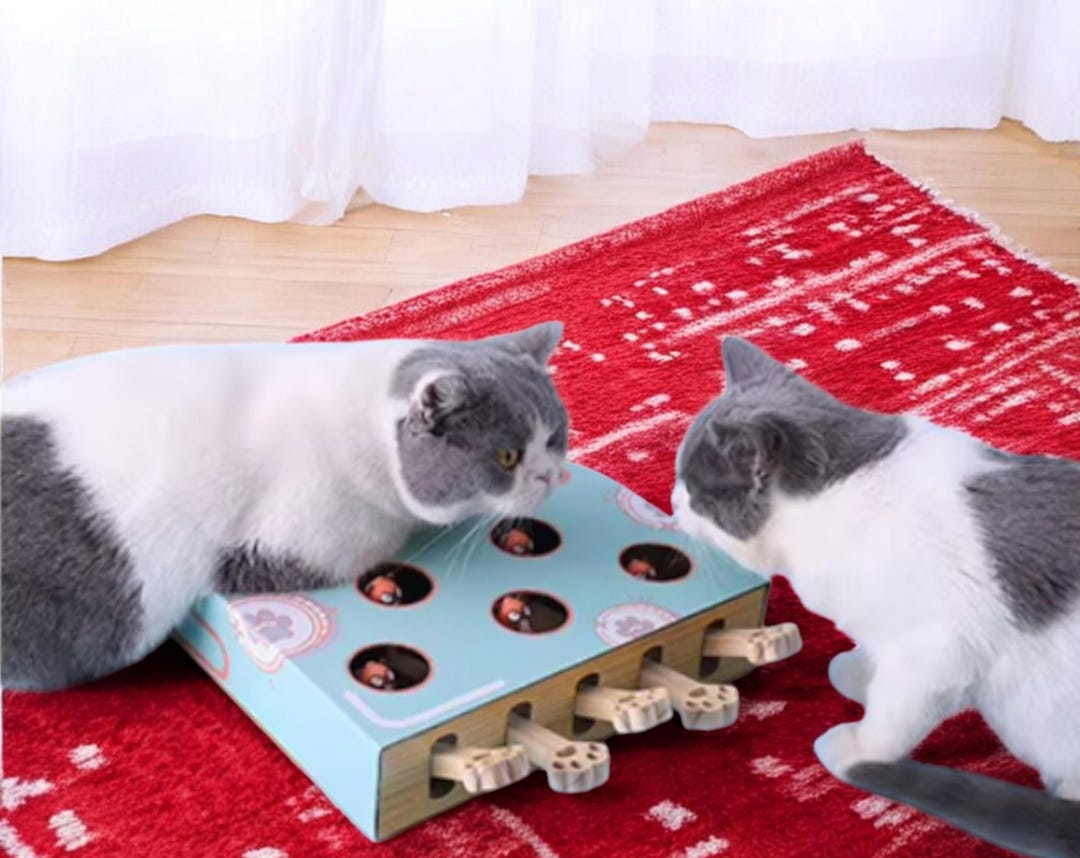 Cat Puzzle Toy, Cat Enrichment Toy, Cat Scratching Post, Interactive ...